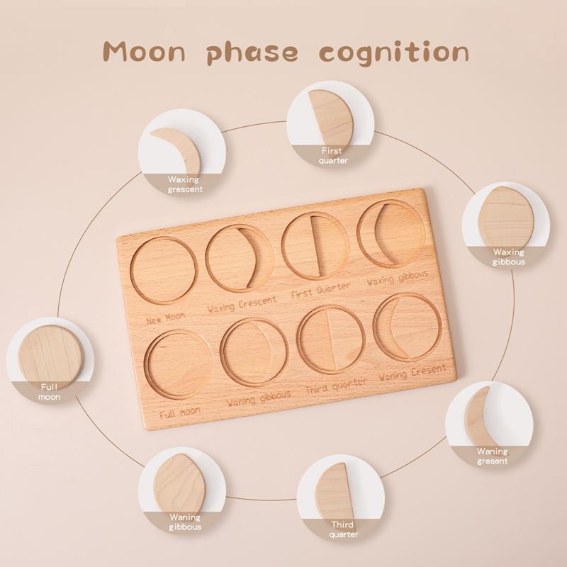 Moon Phase Montessori Wooden Playset – havenhillcollection